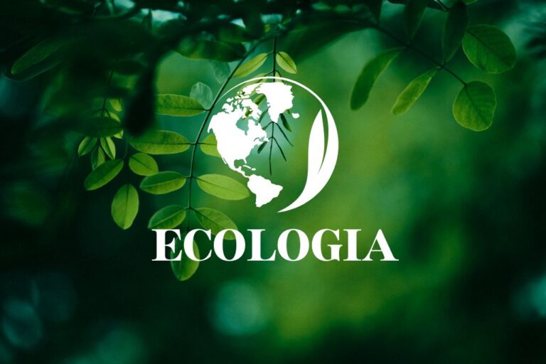 A importância da ecologia: entendendo as interações da vida e do ...